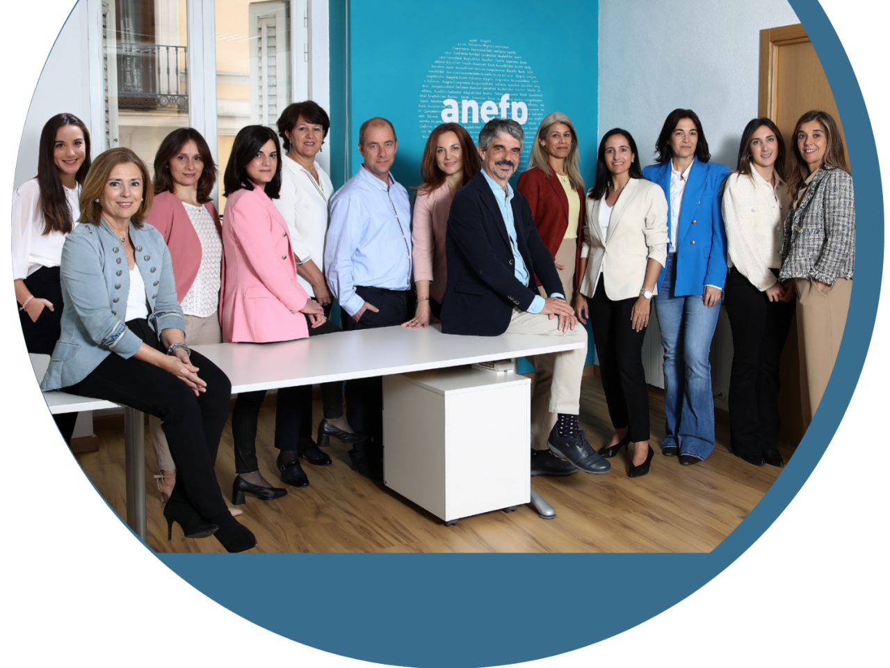 Quiénes somos | ANEFP